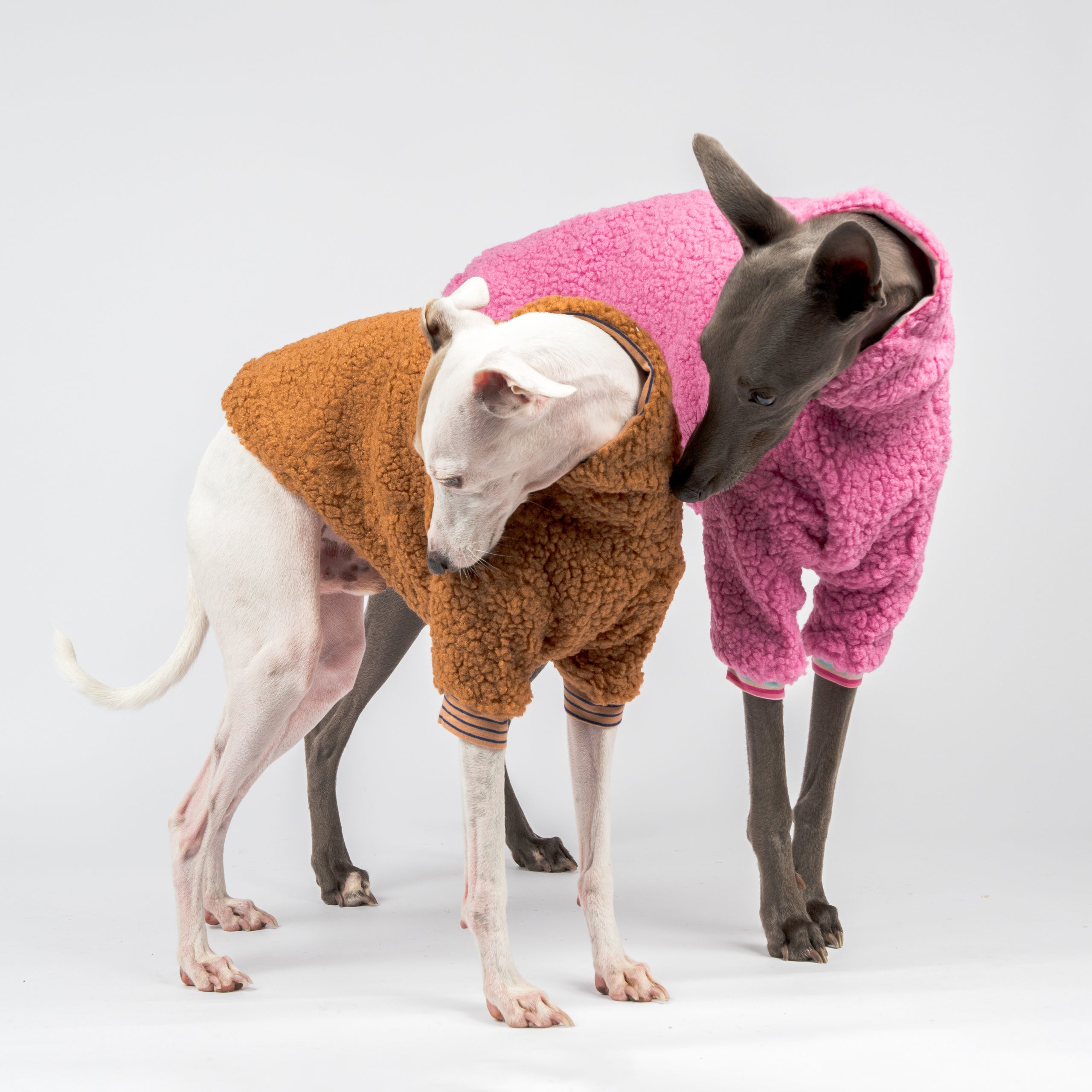 Shop All Italian Greyhound & Whippet Clothing & Accessories | SNOOTLY ...