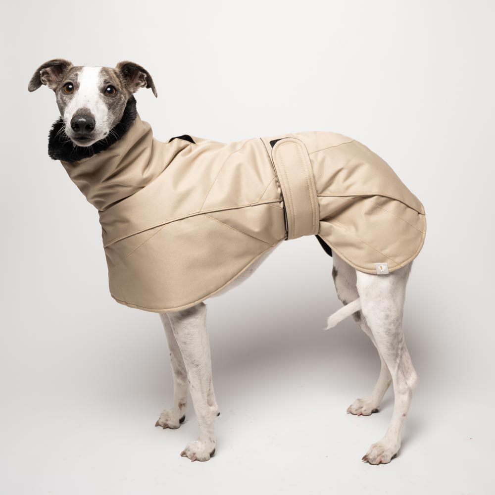 Whippet Winter Coat in Sand | Whippet Coats – Snootly